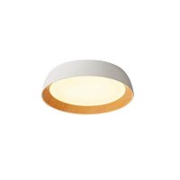 ארכיון צמודי תקרה - כלי אור